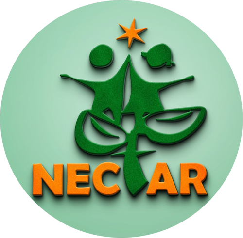 Mes cours | NectarEduProfHaïti